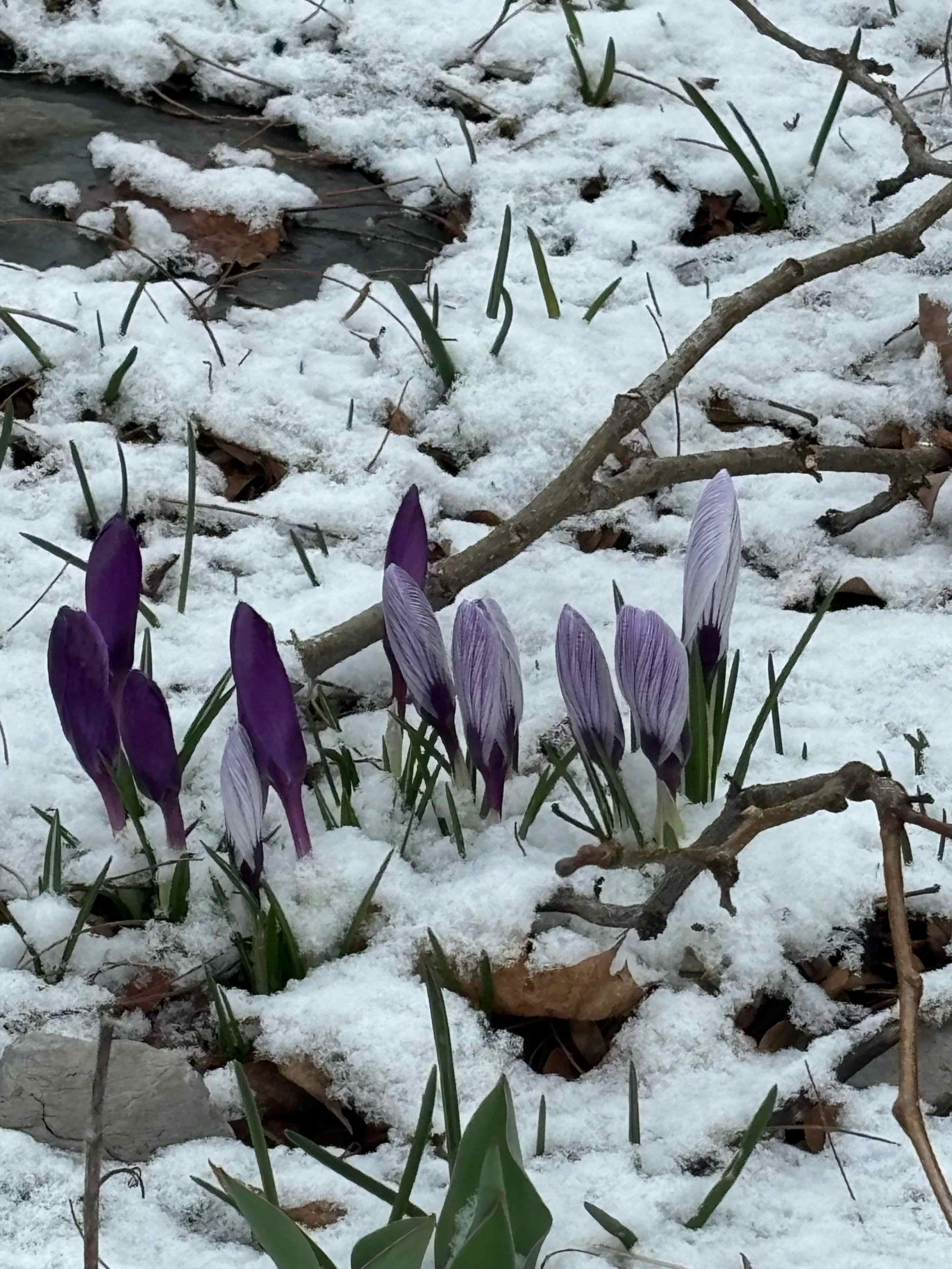 The best is yet to come - just not quite yet | Toronto Sun