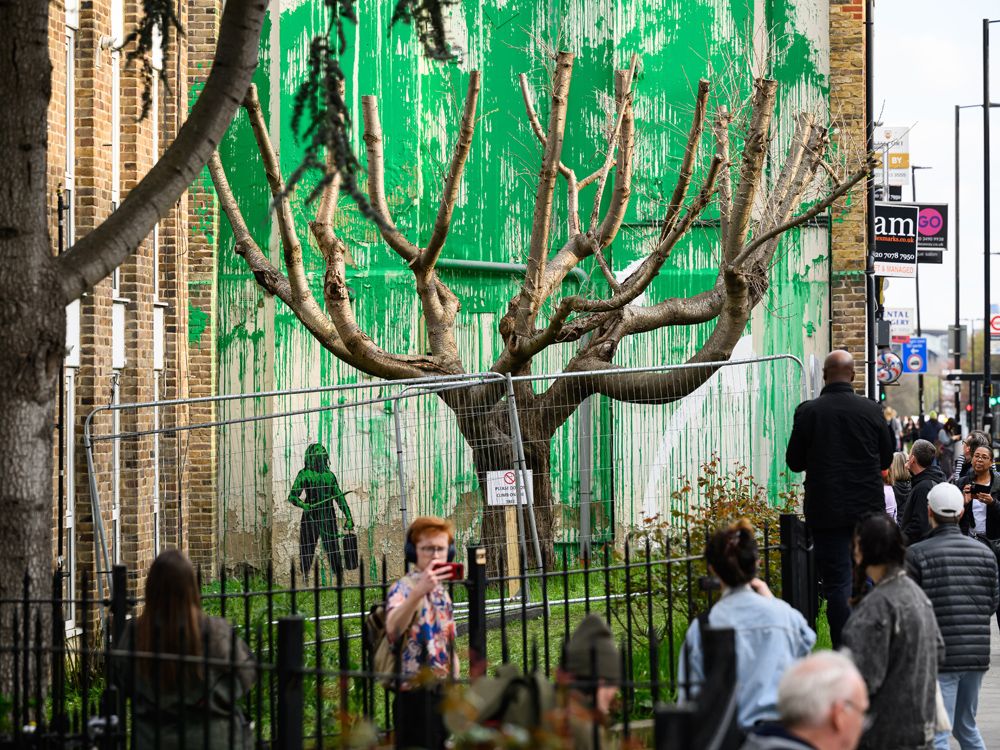 Banksy tree mural that sprouted in London fenced off after vandalism ...