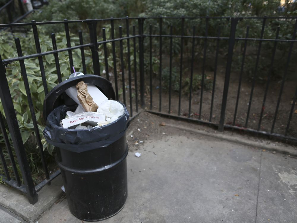 With bins now required in NYC, rats are sorry to see garbage piles go ...