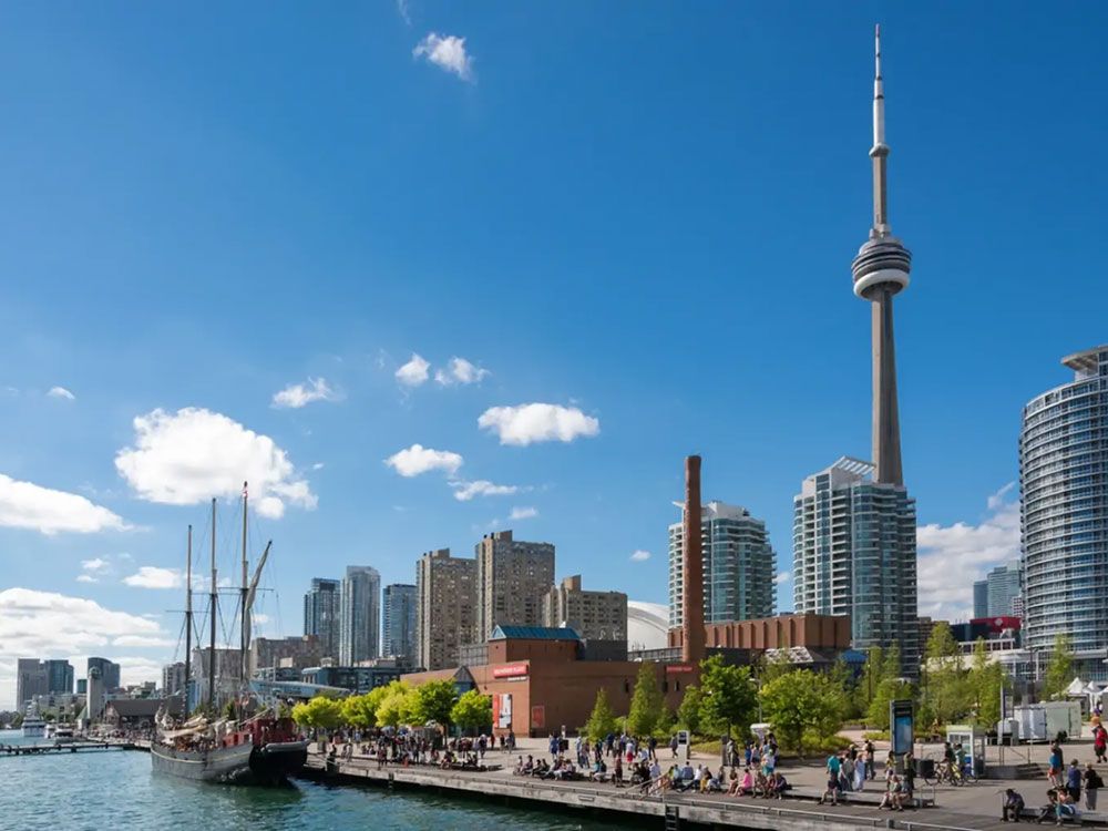 New chapter for Gray Line Toronto | Toronto Sun