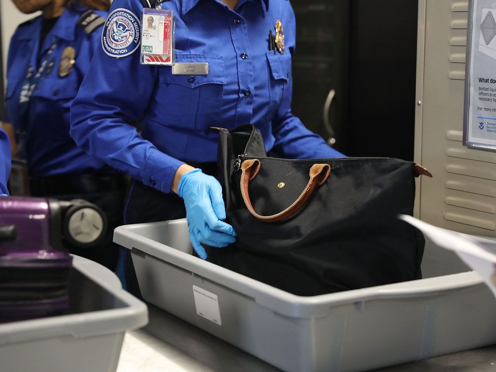 TSA discovers bag of snakes in passenger’s pants prior to flight ...