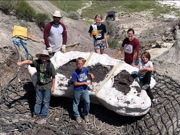 Boys find rare T. rex fossil during family hike in North Dakota ...