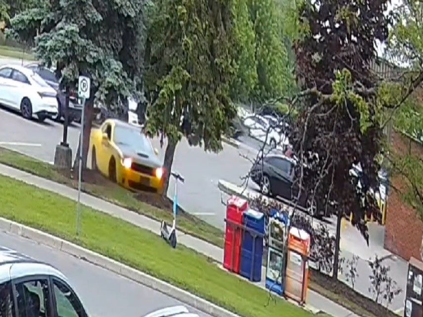 Car meets tree in Brampton parking lot: Both lose | Toronto Sun