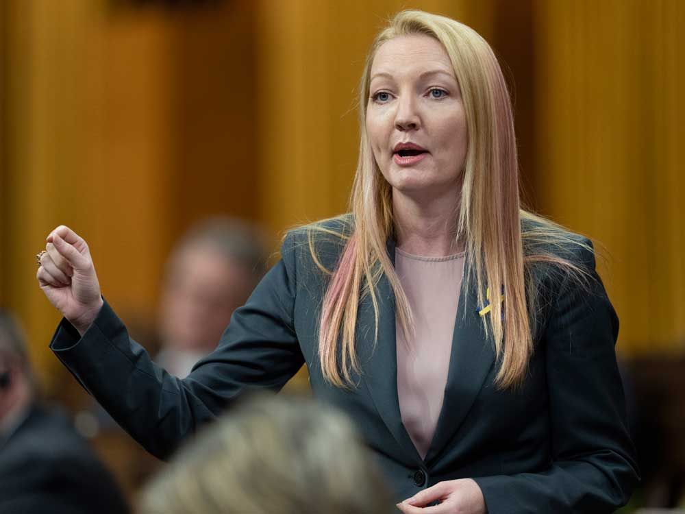 Liberal MP says 'Boo hoo, get over it' as Conservatives ask for names ...