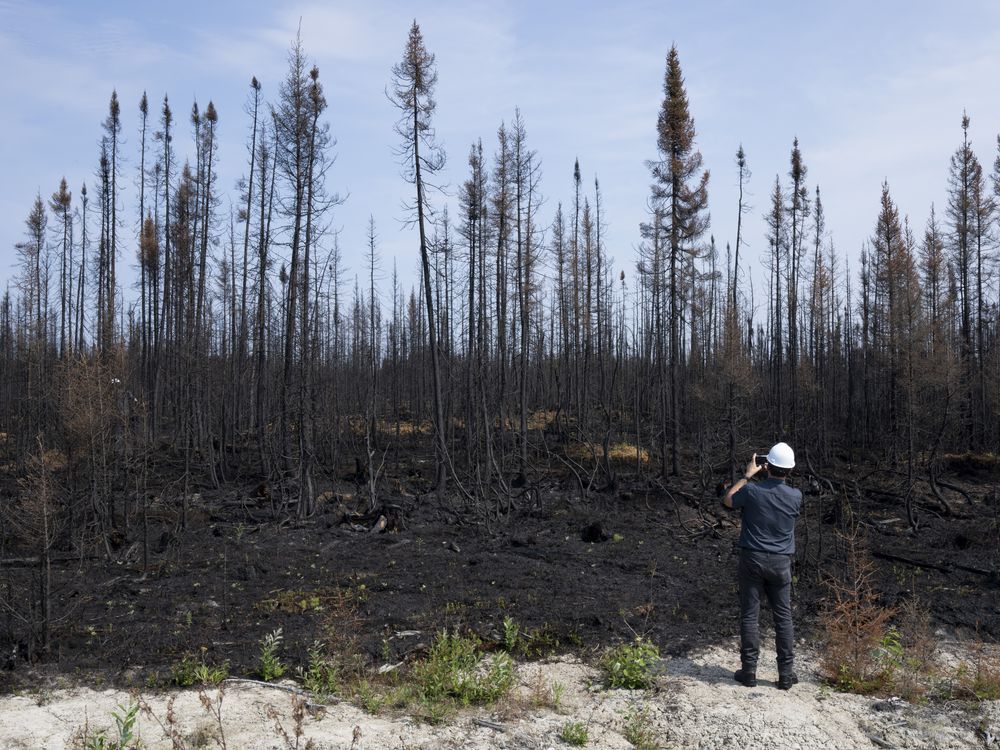 Que. officials say forest fire situation unchanged after evacuations ...