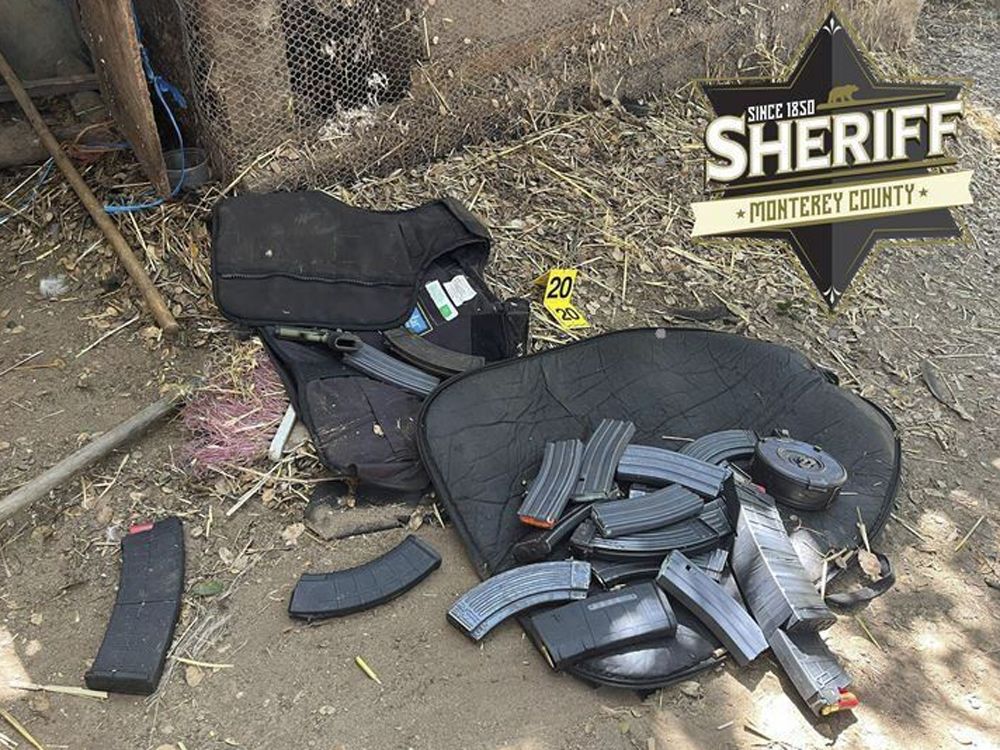 Man charged with killing 81 animals in three-hour shooting rampage ...