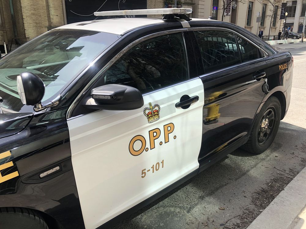 Court rejects OPP misconduct ruling after pedestrian killed | Toronto Sun