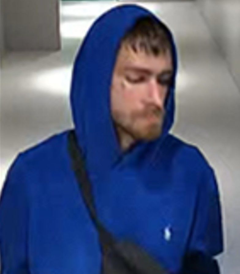 Woman wanted for murder of alleged auto theft ring associate | Toronto Sun