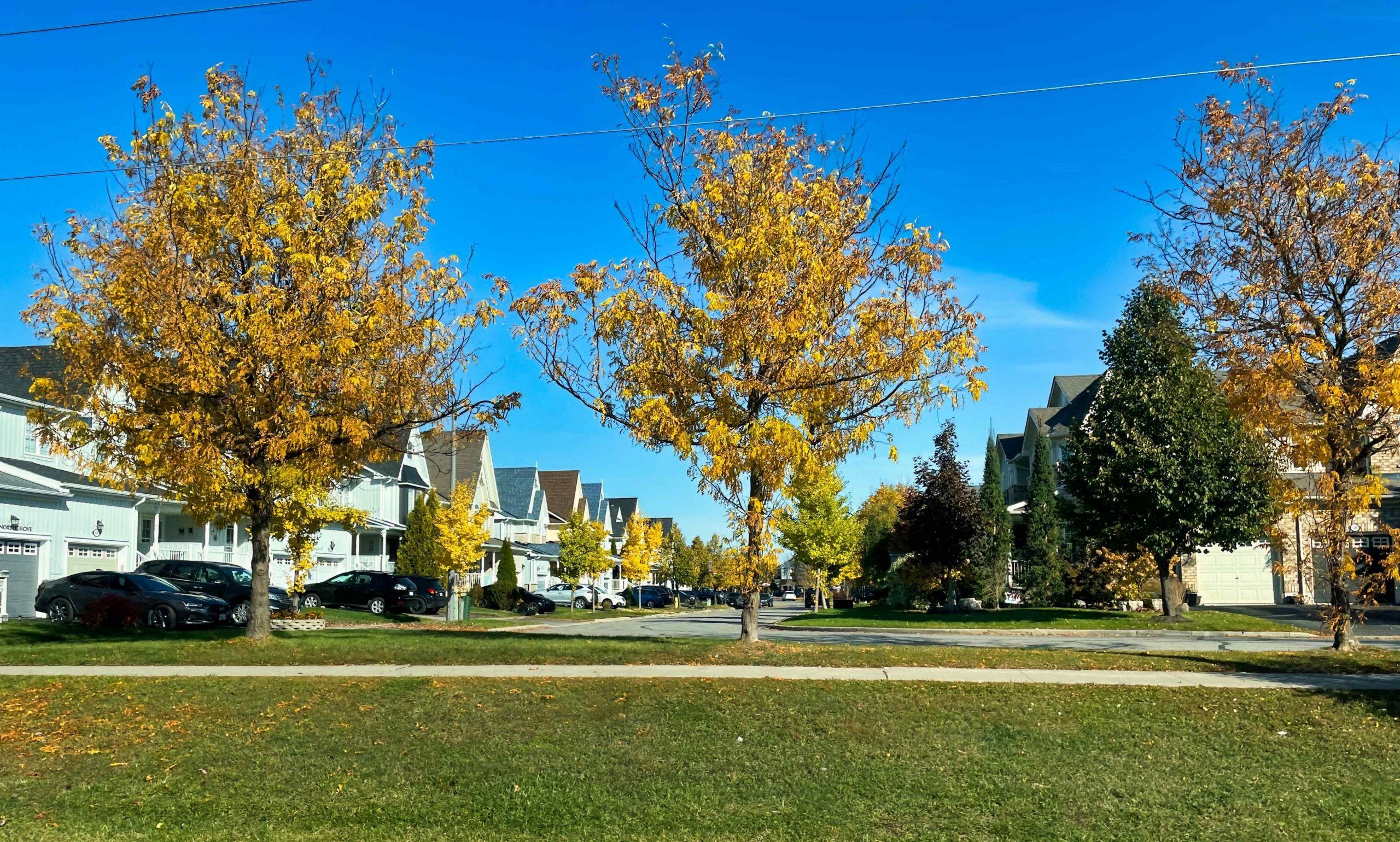 Governments must do something to lower housing costs | Toronto Sun