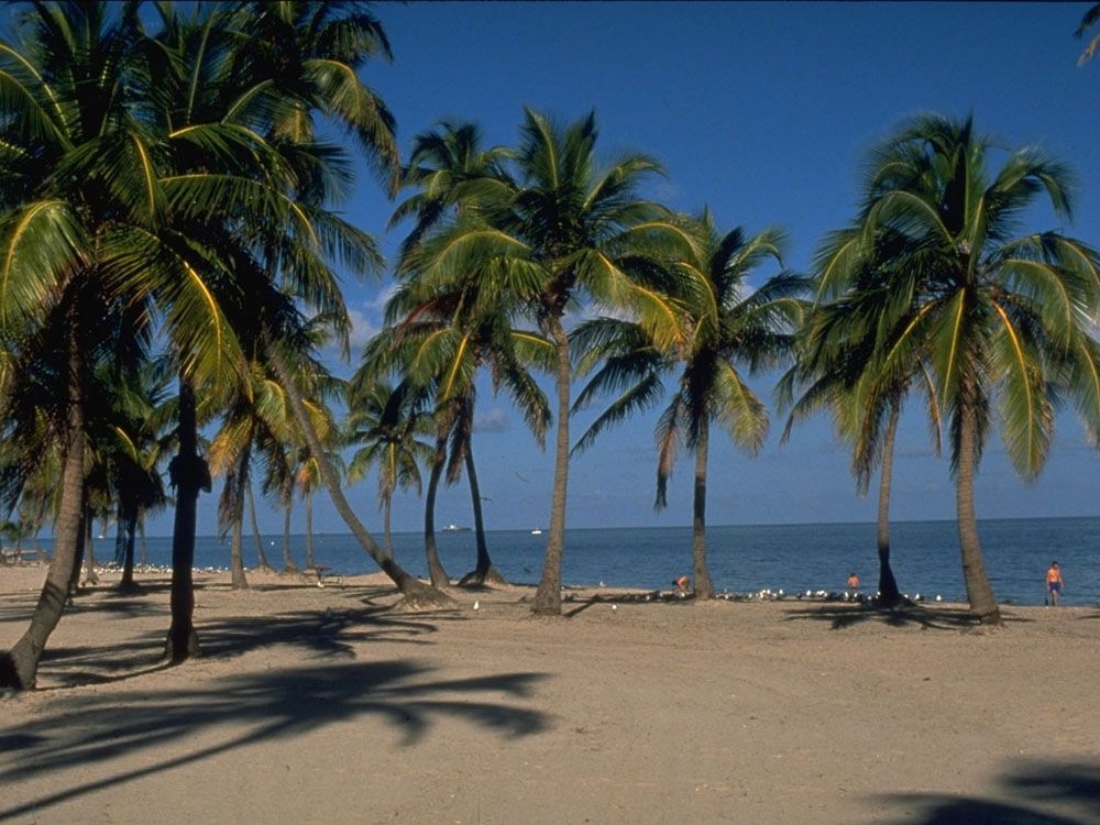 Bodyless head washes ashore on South Florida beach | Toronto Sun