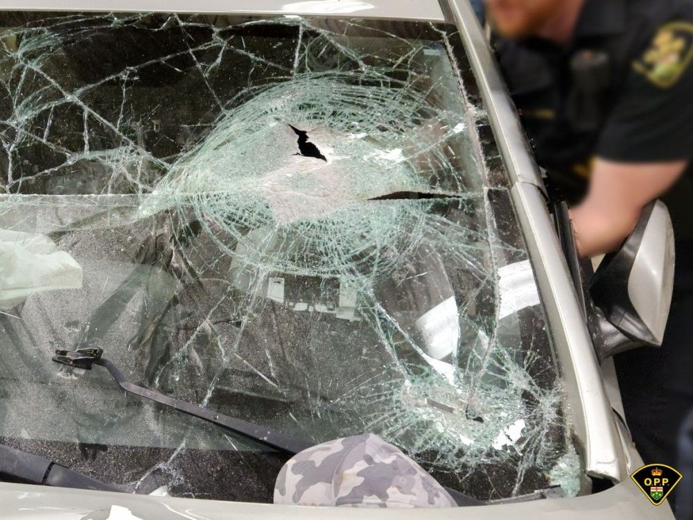 OPP hope release of video leads to rock-throwing suspects | Toronto Sun