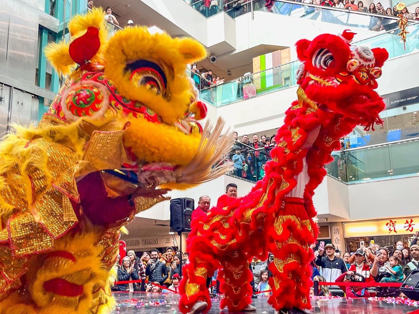 Celebrate Lunar New Year, other events this weekend in GTA | Toronto Sun