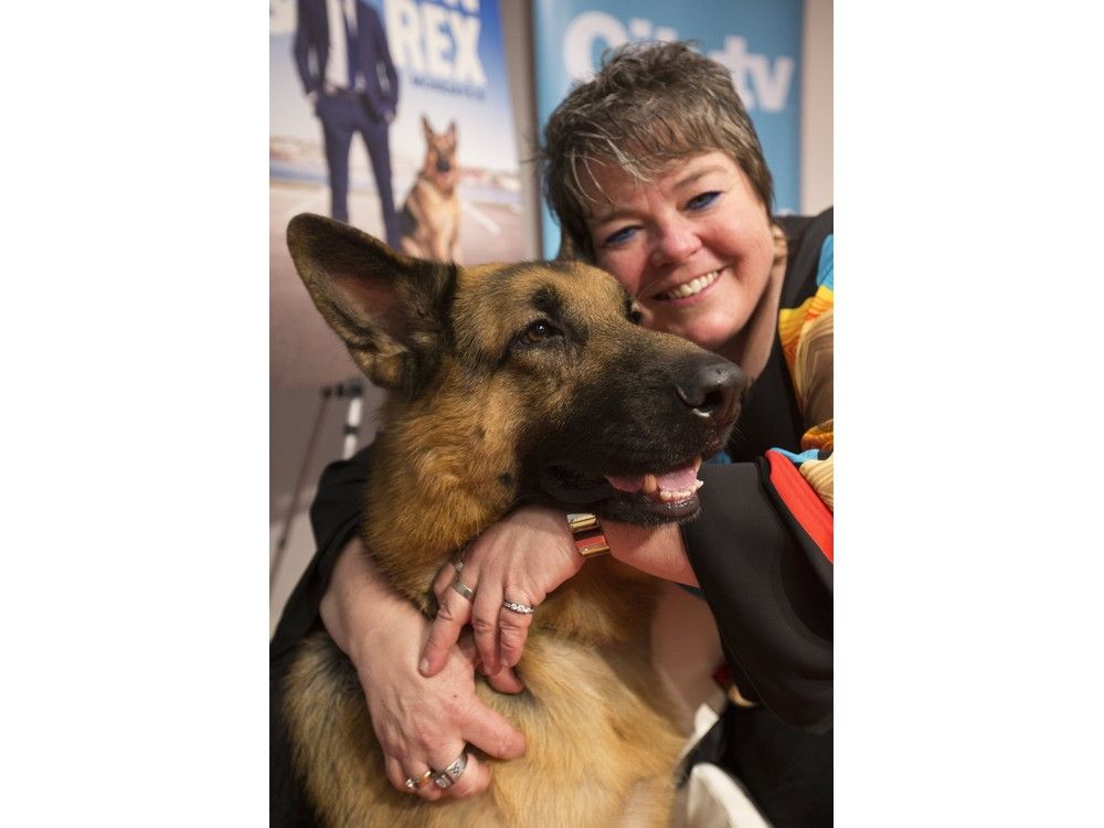 'Hudson and Rex' dog Diesel vom Burgimwald dead at 8: 'True star ...