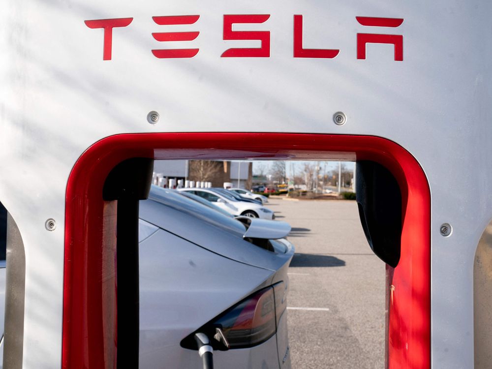 Man torches Tesla chargers in South Carolina and sets clothes on fire ...