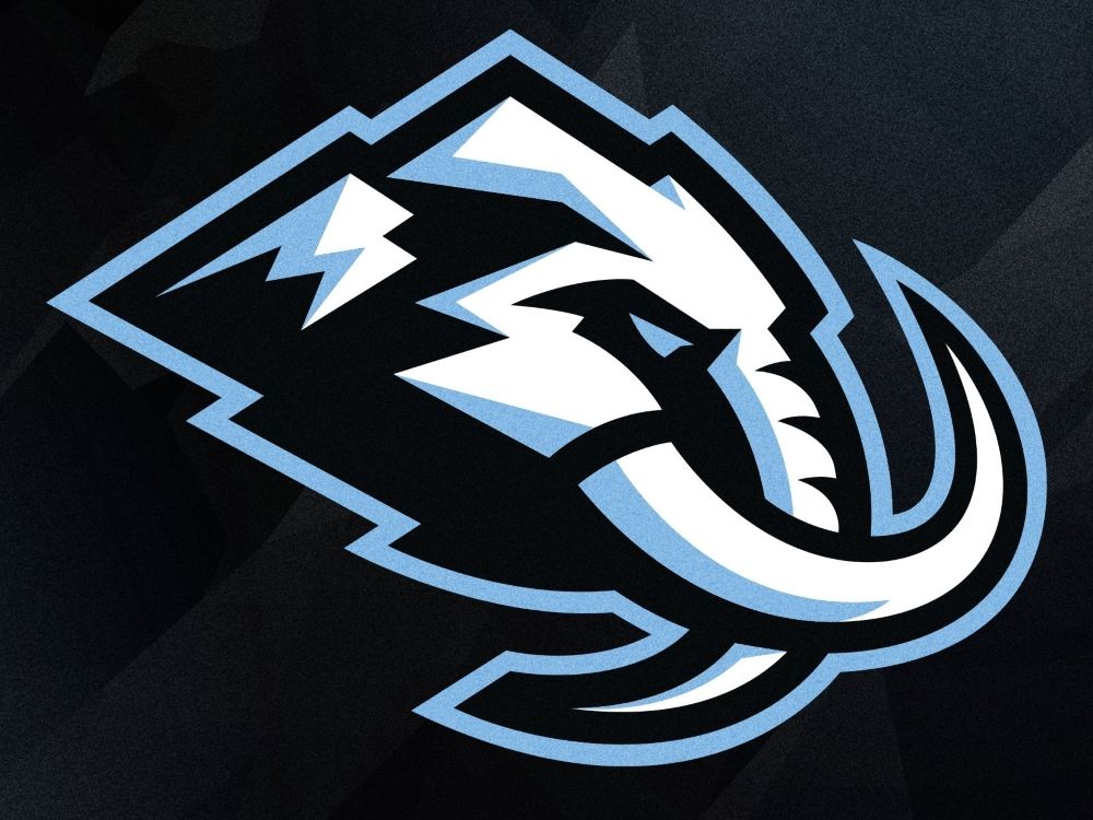 Utah Hockey Club reveals permanent name of the NHL team | Toronto Sun