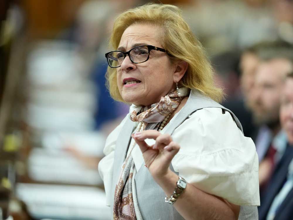 Minister plans to hold consultations this summer on immigration intake ...