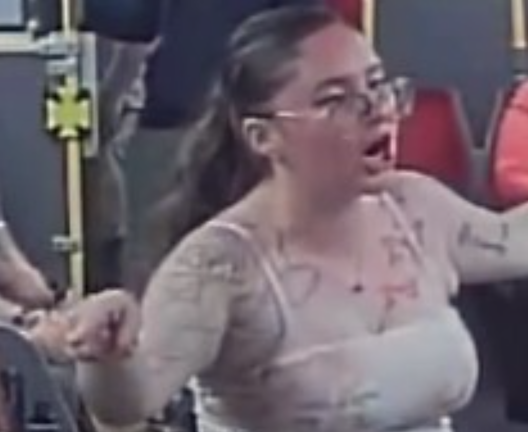 Man and woman wanted for TTC bus assault | Toronto Sun