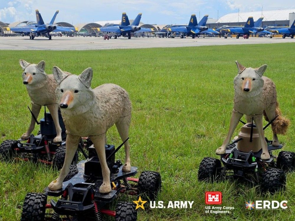 Robot coyotes eyed by U.S. army to protect fighter jets | Toronto Sun