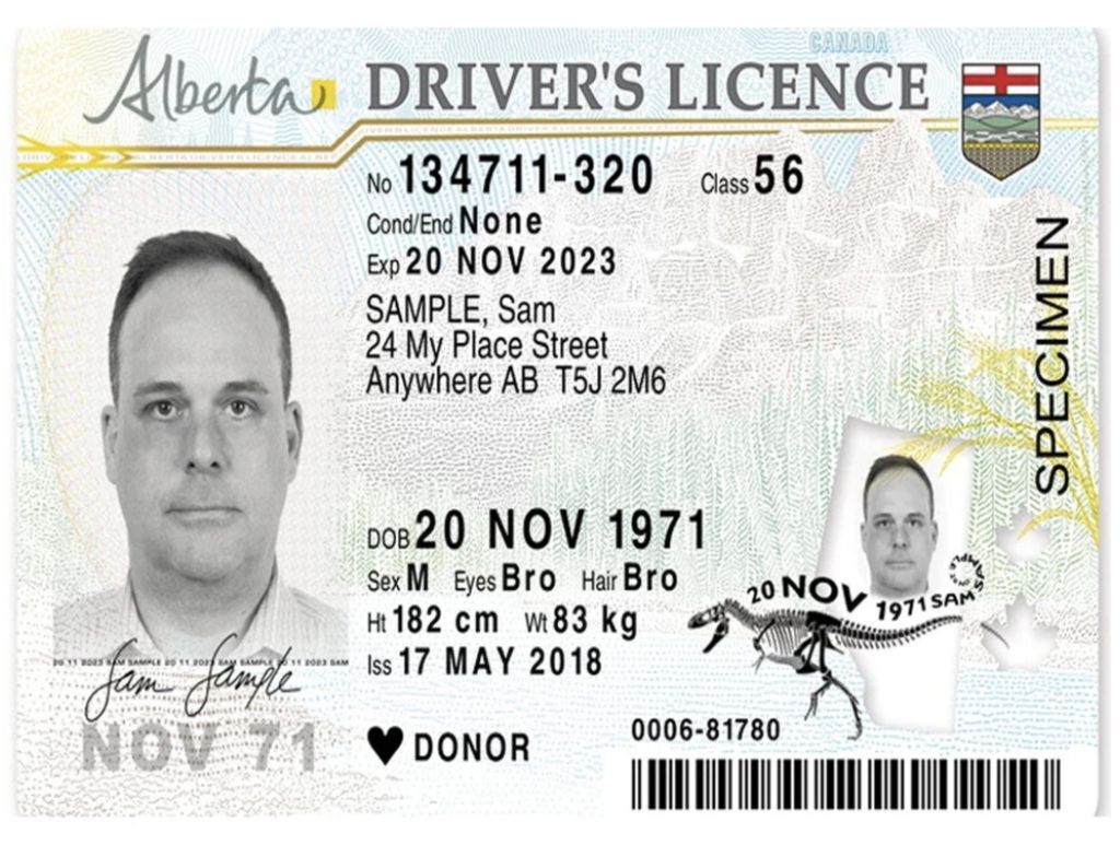 Critics raise concerns about citizenship marker on Alberta ID | Toronto Sun
