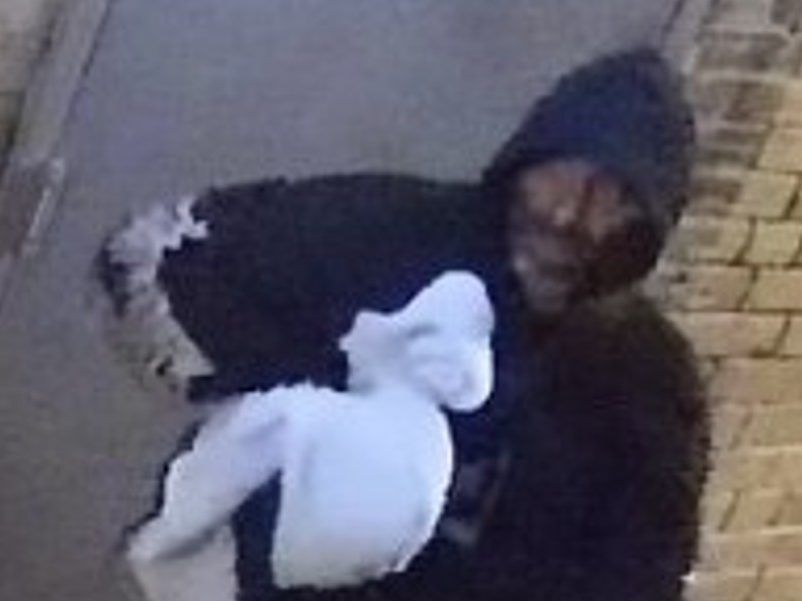 Firebug sought for series of downtown arsons | Toronto Sun