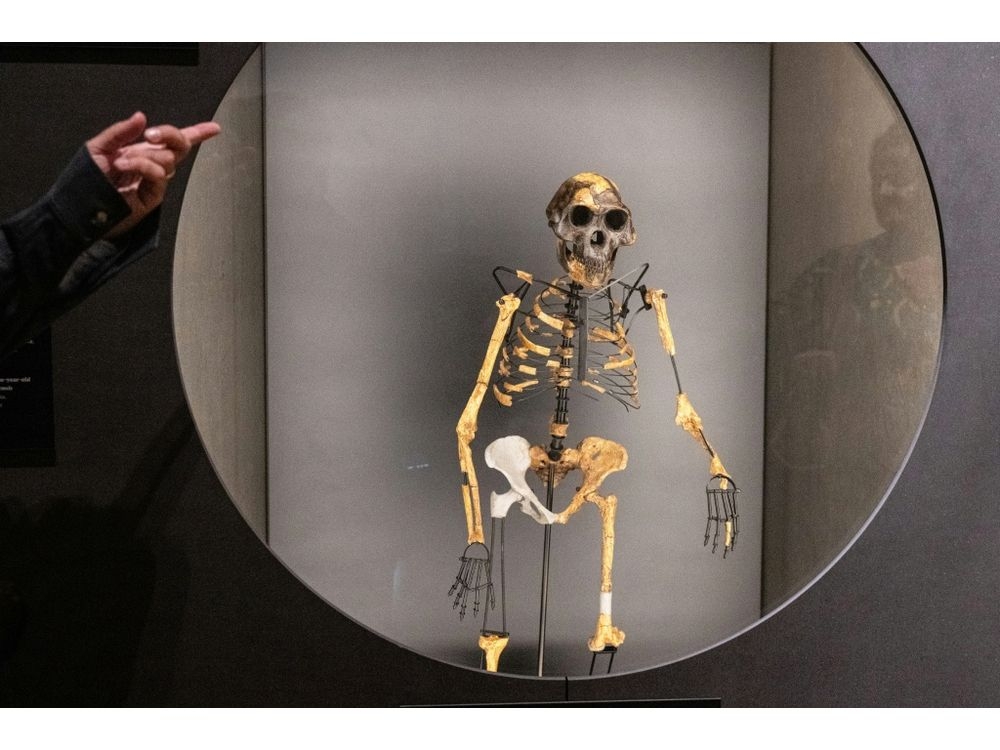 UMVA - ANCIENT FOOT UNEARTHED: Human Ancestor REWRITES History!