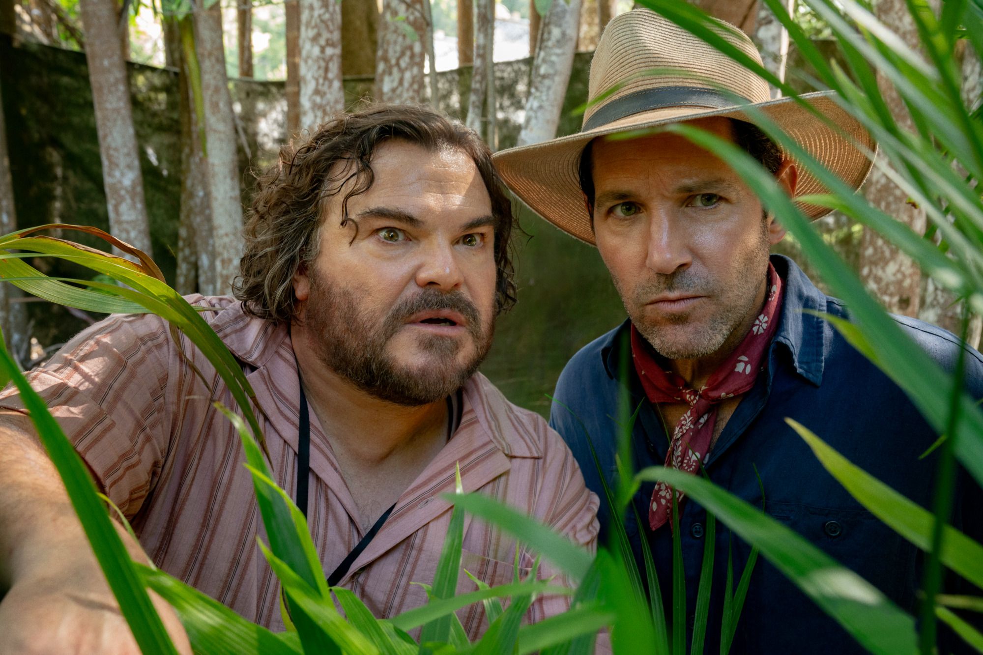Jack Black and Paul Rudd rocked out to AC/DC while making 'Anaconda ...