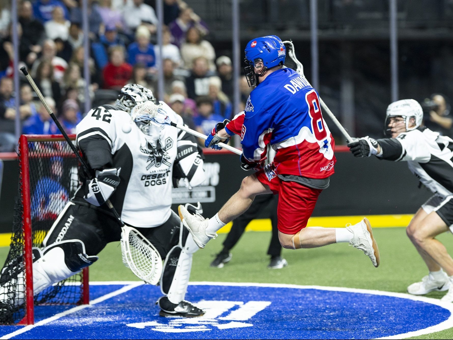 Toronto Rock loses to Las Vegas Desert Dogs | Toronto Sun