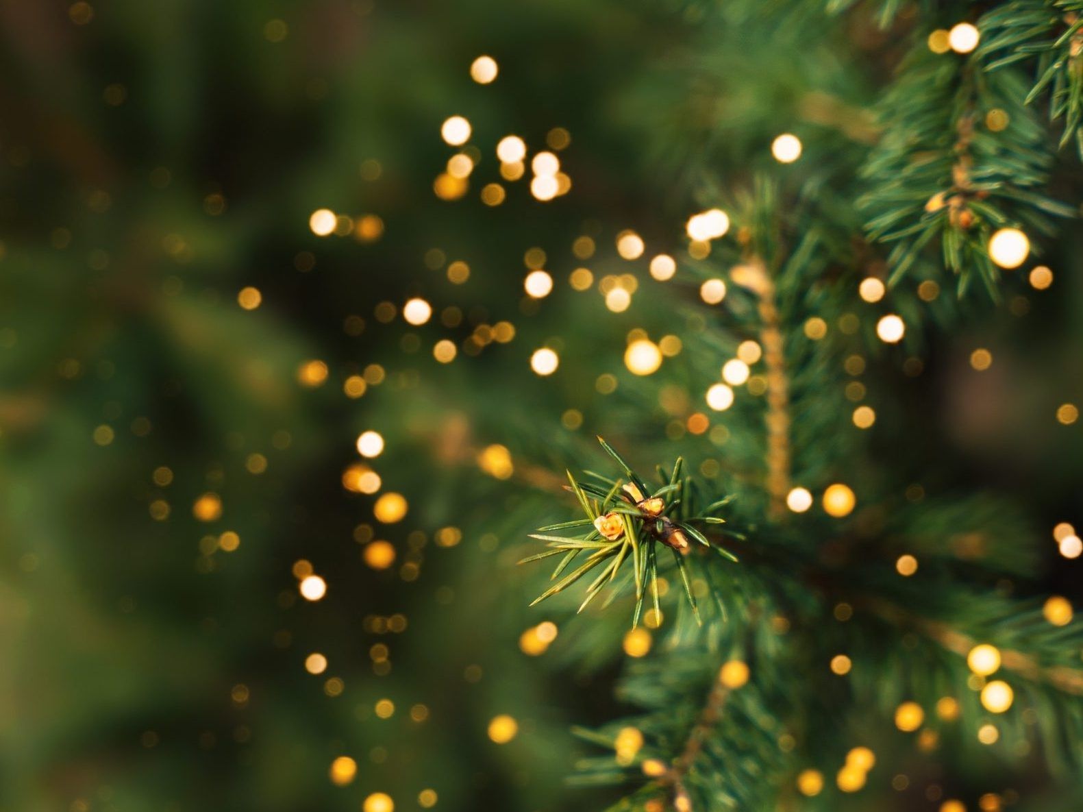 'Merry Christmas' preferred by most Canadians: Poll | Toronto Sun