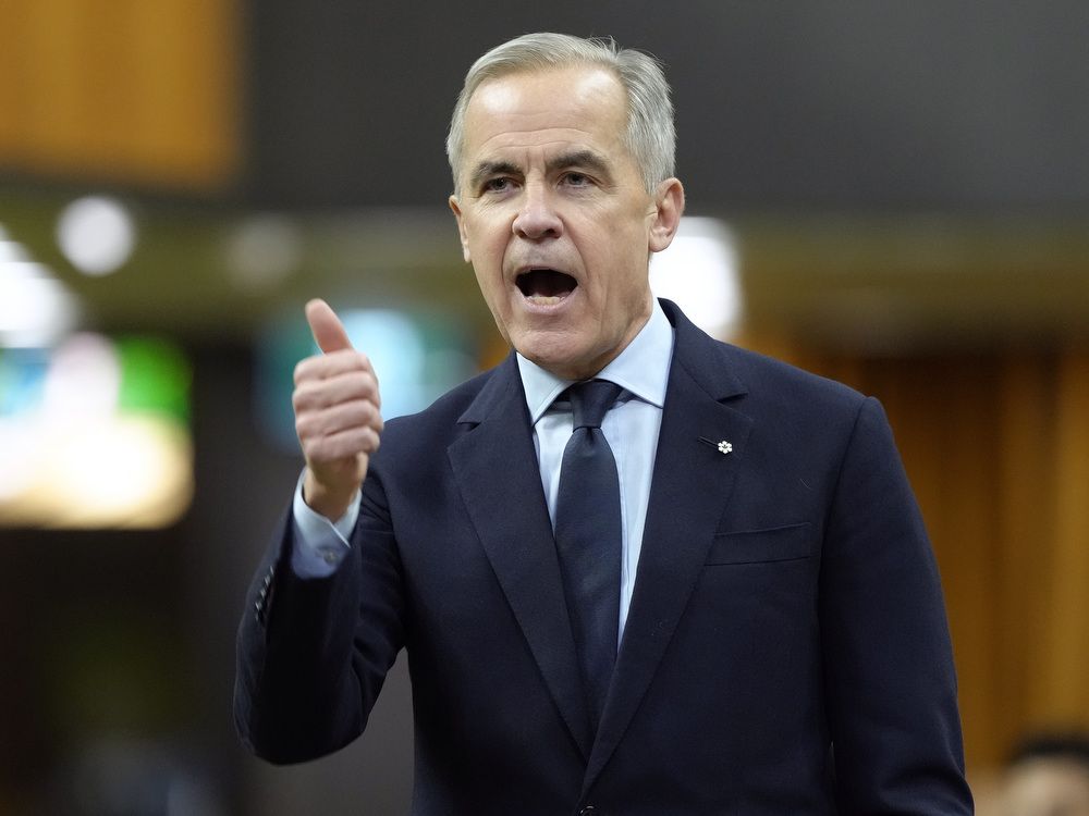 PM Mark Carney reveals GST credit increase due to grocery costs ...