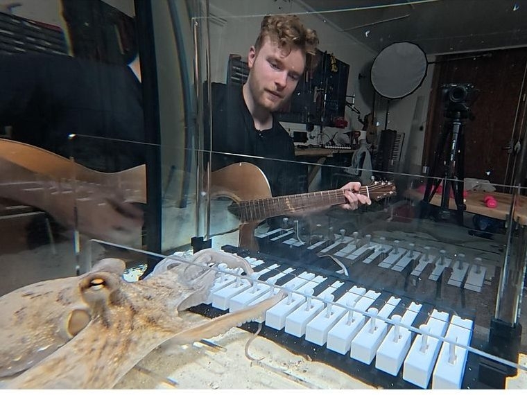 UMVA - OCTOPUS UNLEASHED: Musical Genius or Underwater Alien?!