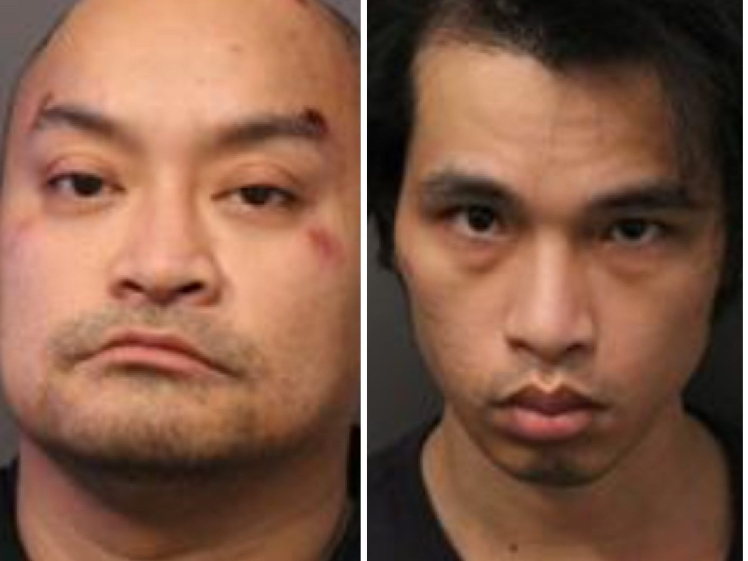Alleged carjackers meet their match with York cops | Toronto Sun