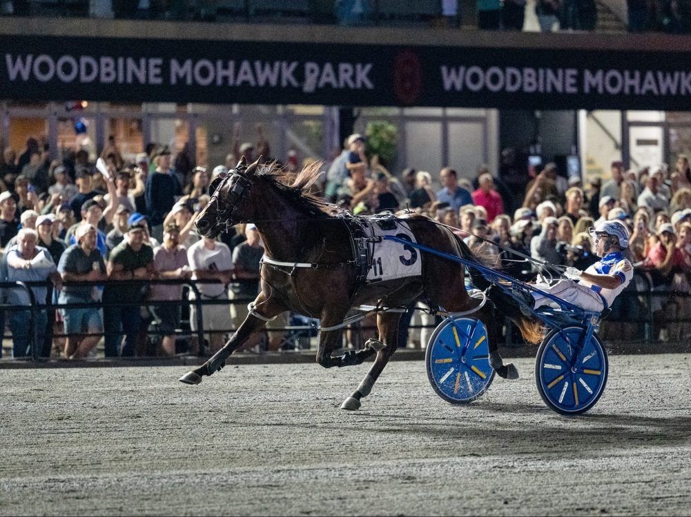 Odds On Mr Mamba wins $1 million North America Cup | Toronto Sun