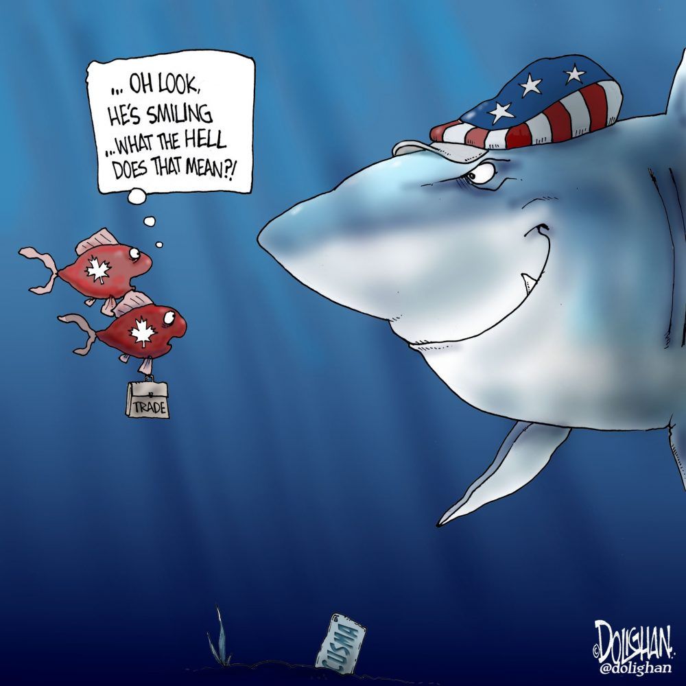 Tim Dolighan cartoon, June 4, 2026 | Toronto Sun