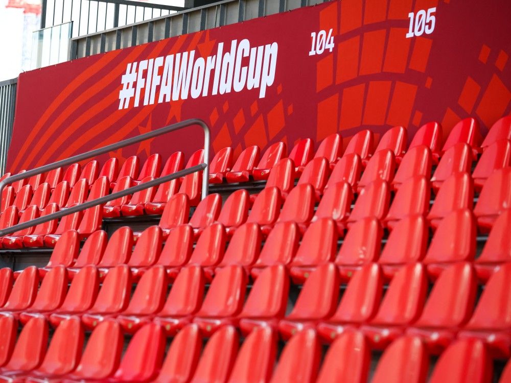 Majority of small biz expect little to no impact from World Cup ...