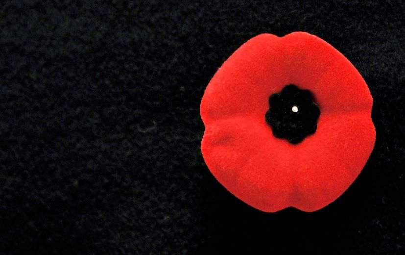 Proper way to wear a poppy | Toronto Sun