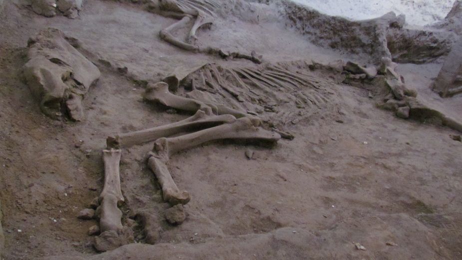 Story of Museum of Chinese Ancient Chariots | Toronto Sun