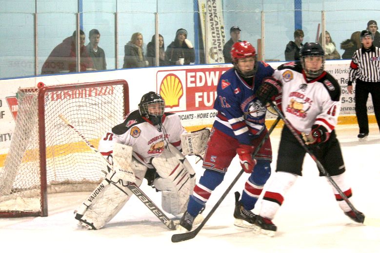 Dogs put the bite on Goderich | Kincardine News