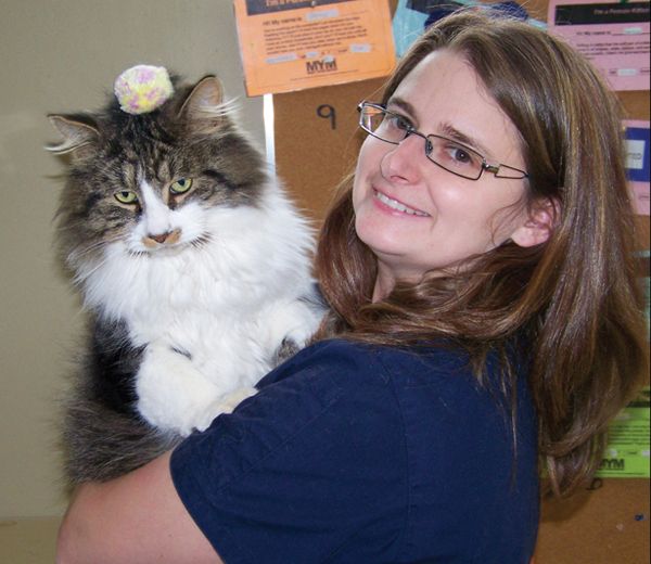 Sweet taste of supporting OSPCA animal shelter | Cornwall Standard ...