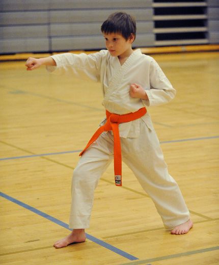 Discipline, respect key components of karate class | Simcoe Reformer