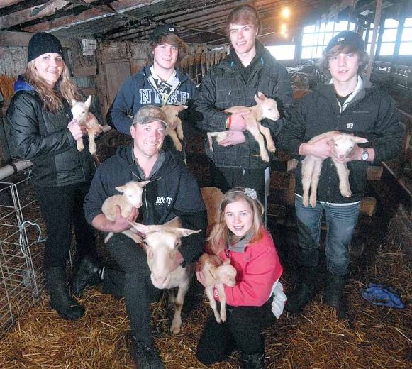 It's rare for lamb sextuplets to survive, but these did | The Stratford ...