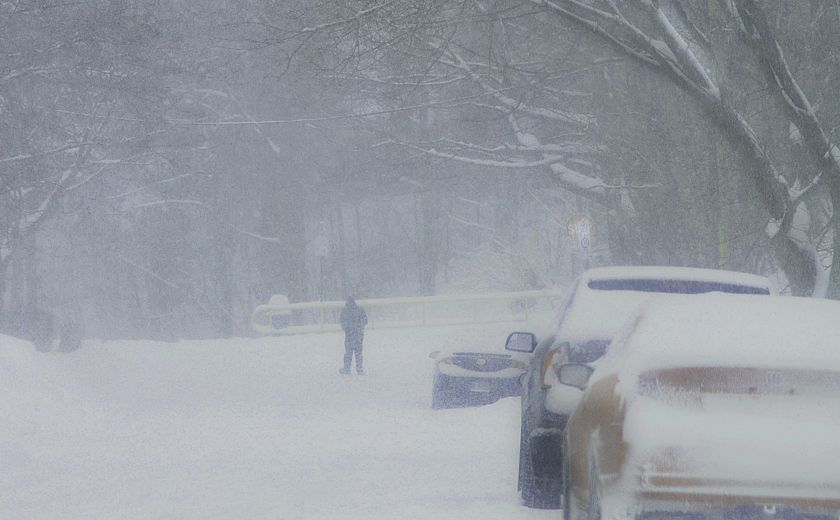 There really is no day like a snow day | The Kingston Whig Standard