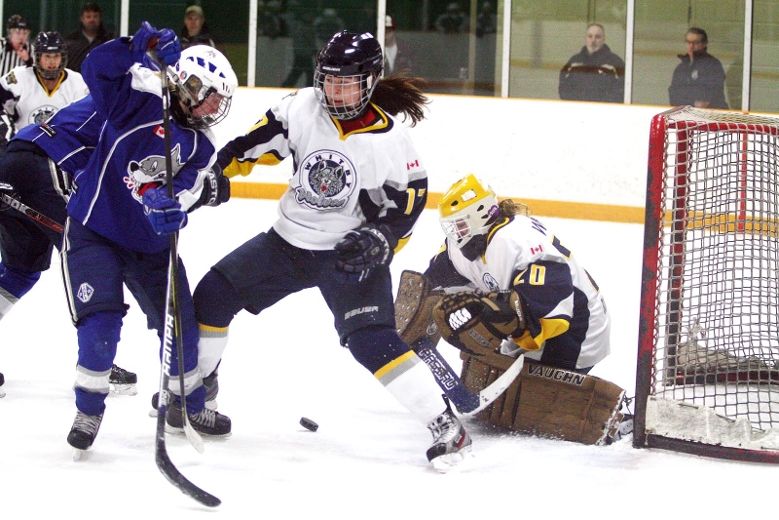 Lady Wolves build experience, character | Sudbury Star