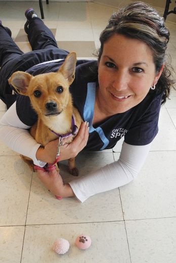 A sweet fundraiser benefits local OSPCA | Cornwall Standard-Freeholder