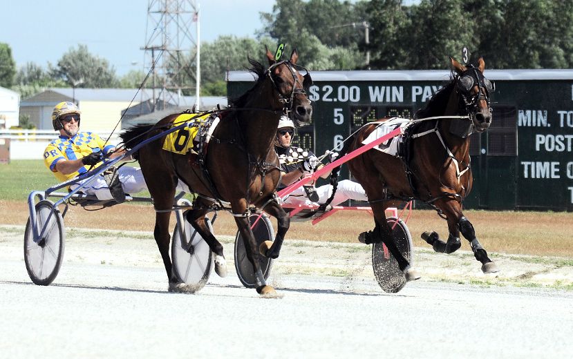 Dresden Raceway receives 16 race dates | Chatham Daily News