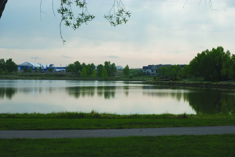 Airdrie to clean up stormwater ponds | Airdrie Echo