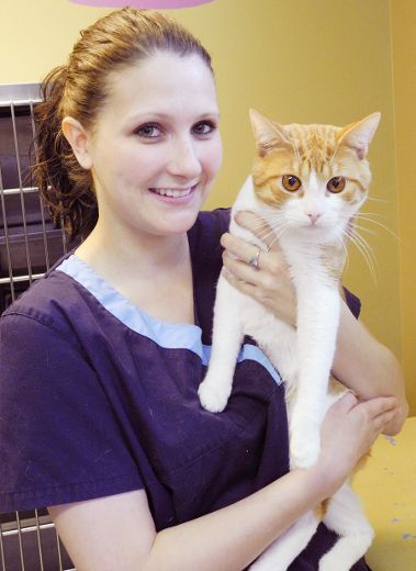 OSPCA hits busiest time of the year | Cornwall Standard-Freeholder