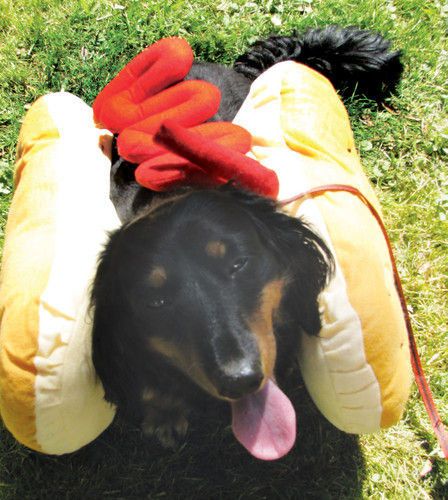 Embro welcomes Wienerfest this weekend | The Stratford Beacon Herald