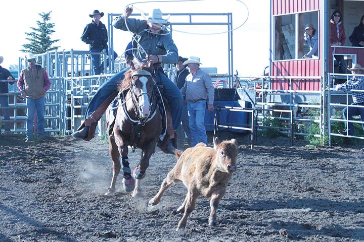 Canadian junior and senior high finals rodeo ready to roll in Nanton ...