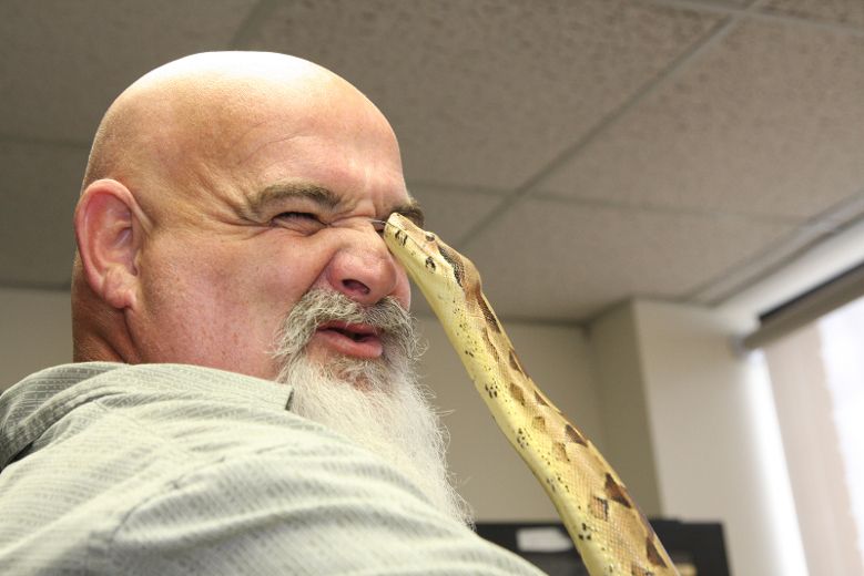 African rock pythons should be banned, says Sudbury snake merchant ...