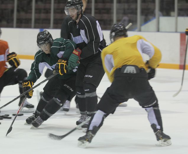 Flu bug running through Sting camp | The Sarnia Observer